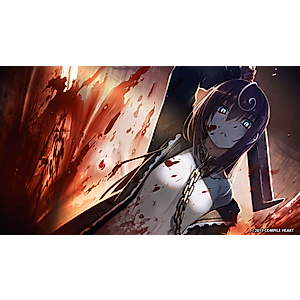 Death end re;Quest 2 Death end BOX - PS4 【初回購入特典】プロダクトコードカード『ブラッドスケルターセット』 & 【特典】描き下ろしイラスト使用のオリジナル収納BOX、ビジュアルファンブック:1冊、ミニサウンドトラック&素材データ集CD:1枚、ビジュアルアートポスター: