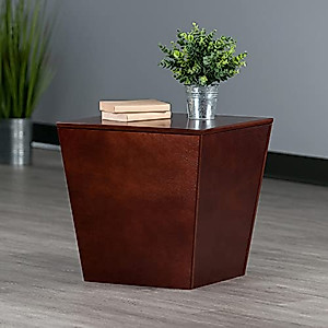 Winsome Trading, Inc. Mezo Cube Storage, Walnut 18.5 inches