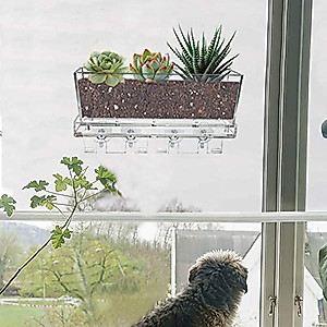 Sumerflos Acrylic Window Planter Box with Drain Tray, Window Plant Shelves with 4 Suction Cup - Detachable Combination for Indoor Outdoor Home Garden Kitchen Planter, Succulents, Herbs - Clear