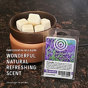 I & Candle, (Set of 4) Orange & Citrus / Lavender / Citronella & Lemongrass / White Tea Aromatherapy Wax Melts. 100% Soy Wax Non-GMO. Made in the USA