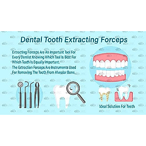 DDP Dental Tooth Extraction Forcep 106 Dentist Lab Tools Stainless Steel