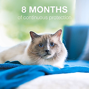 Bayer Seresto Flea and Tick Collar for Cat, all weights, 2 Pack With HS Pets Collapsible Pet Bowl