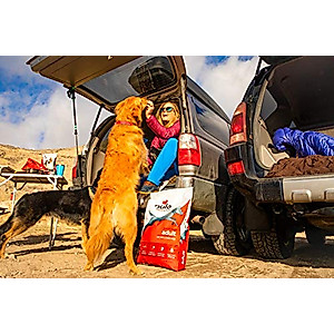 Nulo Frontrunner Dry Dog Food for Adult Dogs - Grain Inclusive Recipe with Beef, Barley, & Lamb - All Natural Pet Foods with High Taurine Levels - Animal Protein for Lean Strong Muscles