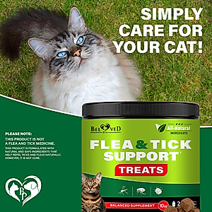 Flea and Tick Prevention Chewable Pills for Cats - Revolution Oral Flea Treatment for Pets - Pest Control & Natural Defense - Chewables Small Tablets Made in USA (Salmon Fish (for Cats))