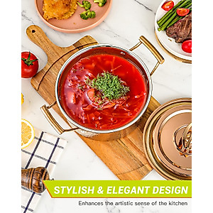 DAEDALUS 7.5QT Stainless Steel Stock Pot with Lid, 3 Triply Clad Hammered Copper Pot, Nonstick Large Stockpot for Home Kitchen Restaurant, Dishwasher Oven Safe -Gold