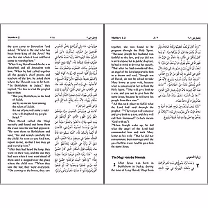 NAV, NIV, Arabic/English Bilingual New Testament, Leather-Look, Green (Arabic Edition)