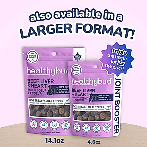 healthybud Hip and Joint Supplement Dog Treats - Glucosamine Soft Beef Liver Bites for Senior Dogs, Arthritis Support 4.6oz