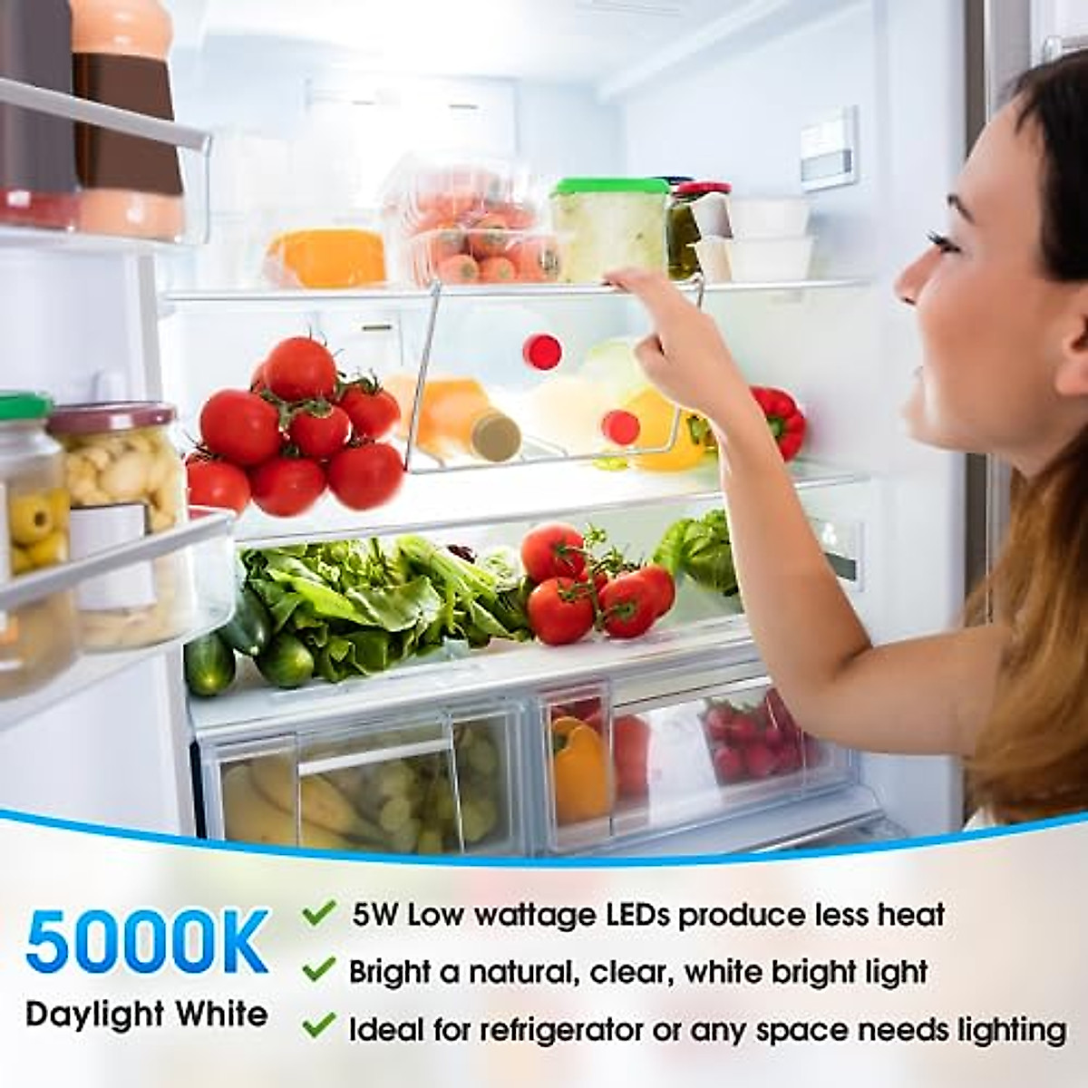 Maylaywood LED Refrigerator Light Bulbs, 40 Watt Equivalent A15 Fridge Bulb Waterproof, Daylight White 5000K, 550LM, E26 Base, Non-Dimmable, 5W LED Appliance Bulb for Frigidaire Home Lighting, 2-Pack