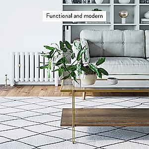 Nathan James Asher Mid-Century Rectangle Coffee Table Glass Top and Rustic Oak Storage Shelf with Sleek Brass Metal Legs, Gold