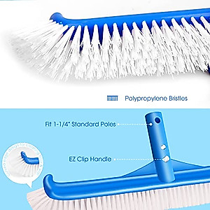 TidyMister Pool Brushes for Cleaning Pool Walls Strong Pool Brush Head for Inground & Above Ground Pools 90 Degrees 17.5'' Pool Scrub Brush for Corners, Curves,Steps,Ladders,Professional Pool Cleaner