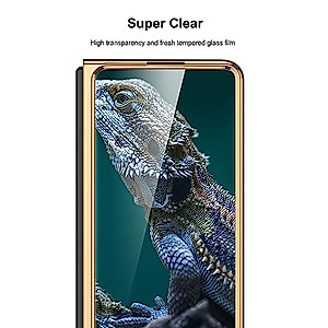 FYTON Case for Galaxy Z Fold 5 Case - Light Luxury Electroplated Frame with Patterned Glass, Built-in Screen Protector Compatible with Samsung Galaxy Z Fold 5 Case, Leopard Print