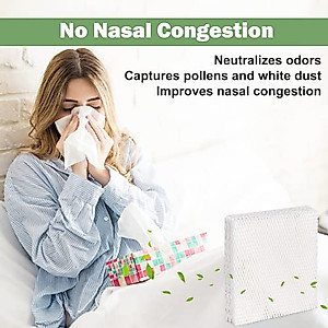 Future Way HFT600 Humidifier Filter T Compatible with Honeywell HEV620 & HEV615 Series Humidifiers, 4-Pack