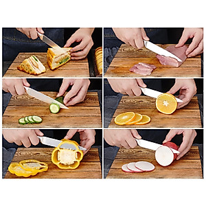 Hollory 5 Inch Kitchen Utility Knife, German High Carbon Stainless Steel Blade and Full Tang Handle, Fruit and Vegetable Cutting Chopping Carving Knives-Silver