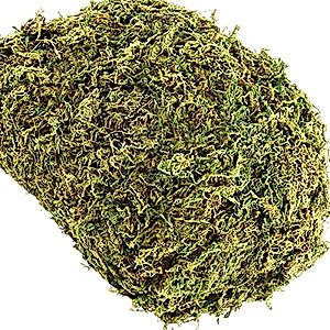 KARRYHOME 10 OZ Fake Moss for Potted Plants Artificial Moss for Fake Plants Faux Moss for Planters Decorative Moss for Craft ，Green Moss and Home Decor