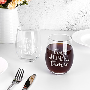 Modwnfy Teacher Appreciation Gifts, Tiny Human Tamer Stemless Wine Glass Gifts for Preschool Daycare Kindergarten Elementary School, Thank You Gifts Birthday Christmas Gifts for Daycare Teacher 17Oz