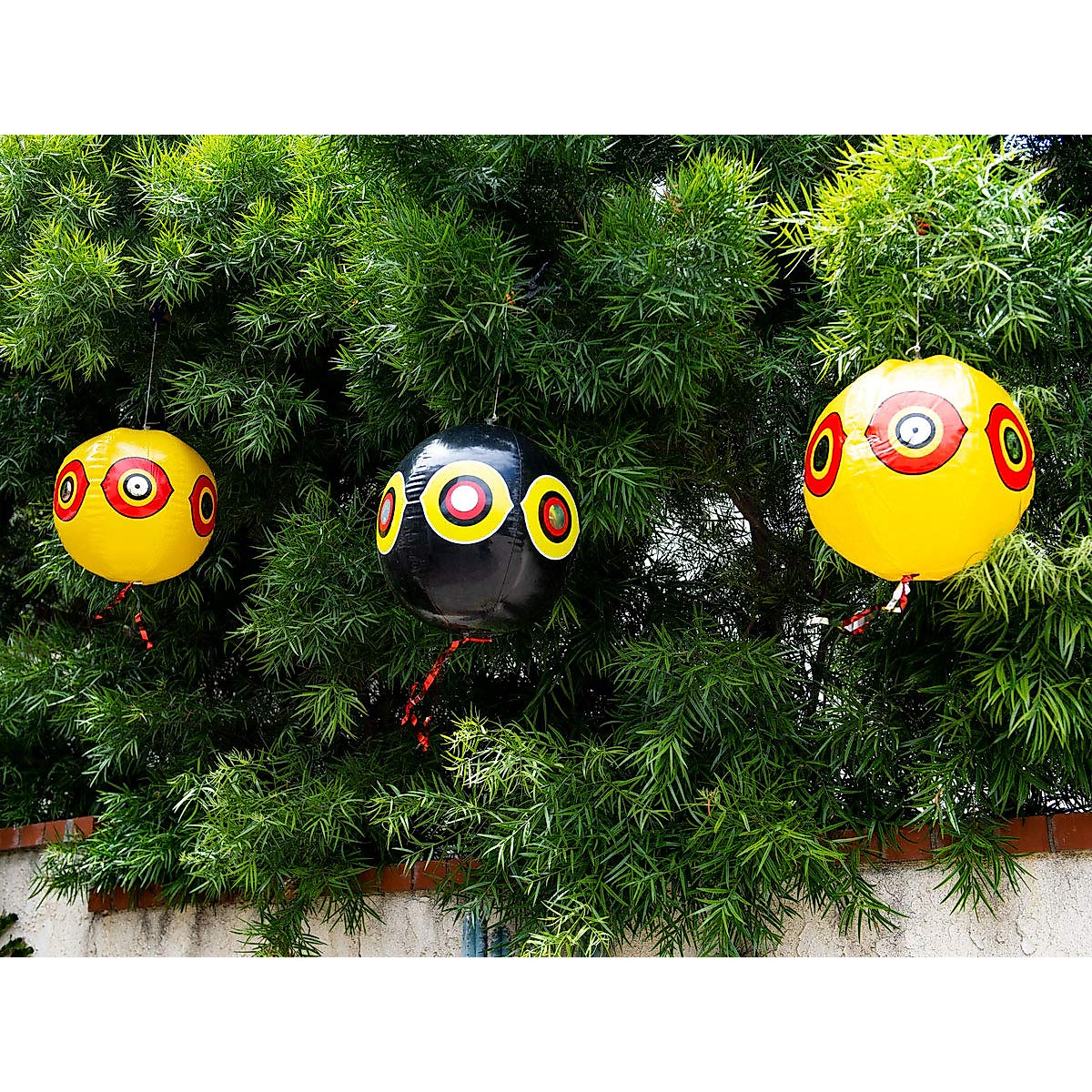 Predator Eye Balloon Bird Deterrent Scare Devices (Pack of 3)