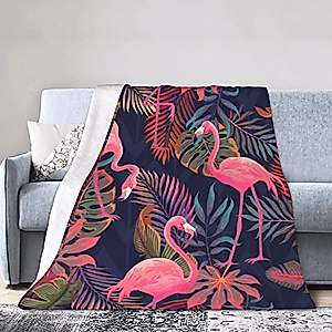 Gbuzozie Fleece Blanket Tropical Pink Flamingos Palm Leaves Lightweight Ultra-Soft Micro Throw Blanket for Sofa Couch Bed Camping Travel - Super Soft Cozy Microfiber Blanket 80"X60"