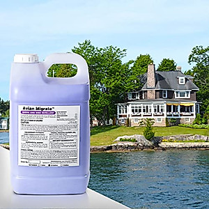 Avian Migrate Goose Deterrent, Bird Repellent Concentrate, Geese Repellent, Non-Toxic, Made in The USA, Removes Geese from Beaches, Yards, Ponds, Parks and Ground (One Gallon)