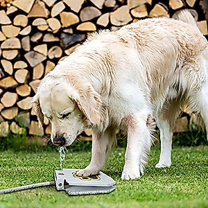 Dog Outdoor Dog Drinking Water Fountain Step On, Easy Paw Activated Drinking Pet Dispenser, Provides Fresh Water, Sturdy, Easy to Use by Trio Gato