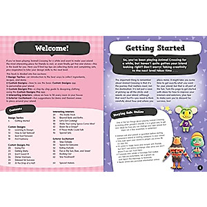 Animal Crossing New Horizons: Pro Island Designer