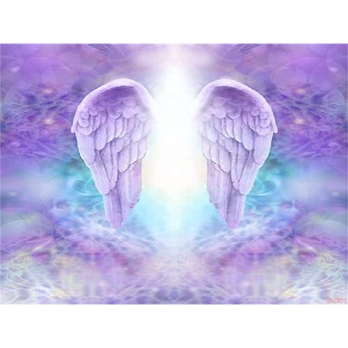 QAZWSX Angel Wings Diamond Painting Kits, Dreamlike Feather Fairy Tales Diamond Art for Adults Kids Full Round Drill Kit Crystal Pictures for Home Wall Decor Christmas Gifts 12x16 inch /30x40 cm