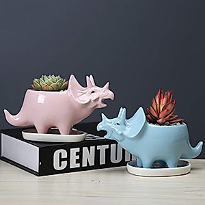 Happyyami 1PC Flower Pot Mini Succulent Container Pot with Drainage Tray Ceramic Fairy Garden Pot Mini Succulent pots Animal Bonsai Holder Artificial Bonsai Artificial Cactus Outdoor Plant