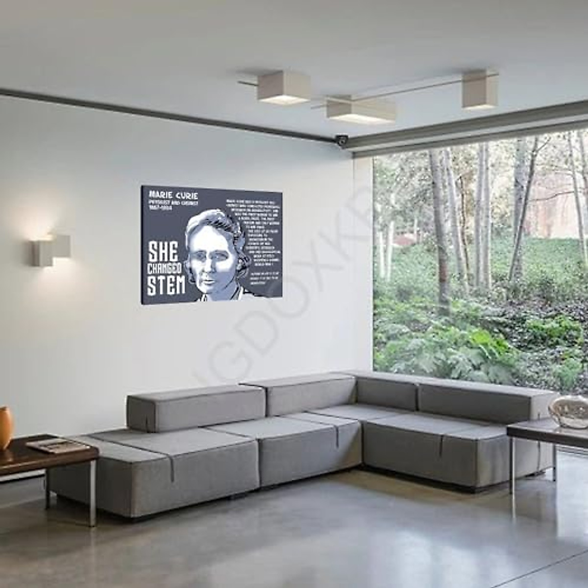 Famous Physicist Marie Curie Portrait Art Poster Canvas Poster Bedroom Decor Office Room Decor Gift Frame-style 20x16inch(50x40cm)