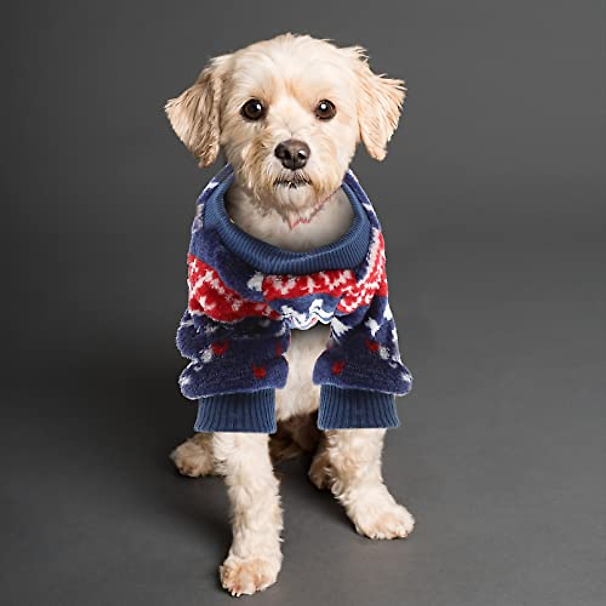 BESTOYARD Santa Dog Costume Halloween Decor Christmas Reindeer Dog Cat Costume Pet Clothes for Xmas Winter Dress Up Cosplay Decor for Puppy Christmas Party Cat Dog Halloween Costumes