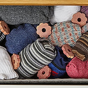 Cedar Wood Closet Freshener for Clothes Hangers: 30 Cedar Wood Flowers for Wardrobe Closet – Cedar Hangers – Wood Ring Pack – Closet Freshener LAVODIA