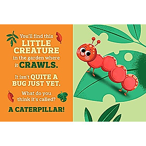 Backyard Bugs - Touch and Feel Board Book - Sensory Board Book