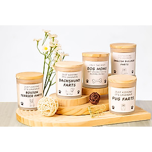 Dachshund Gifts, Dachshund Gifts for Women Men, Dachshund Decor, Dachshund Dog Candle, Weiner Dog Gifts, Wiener Dog Gifts, Weenie Dog Gifts Women Men