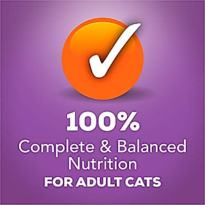 Purina Friskies Pate Wet Cat Food, Tasty Treasures With Liver, Turkey & Chicken - (24) 5.5 oz. Cans