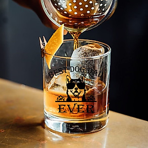 Perfectinsoy Dog Dad Ever Whiskey Glass with Gift Box, Cute Husky Dog Themed, Dog Lover Gifts for Him, Dog Dads, Dad, Grandpa, Uncle, Brothers, Husband, Whiskey Glass Gift for Dog Lovers …