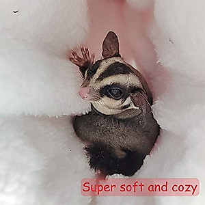 Oncpcare Hanging Tunnel for Small Animals, Hanging Hamster Toys, Sugar Glider Hammock Cage Accessories Bedding for Chinchilla Ferret Squirrel Guinea Pig Rat Playing Sleeping