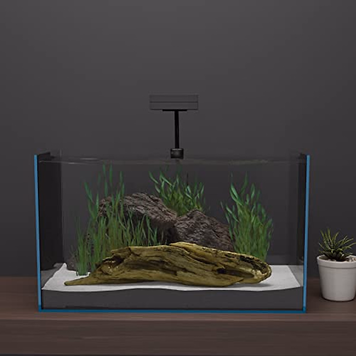 Rimless Low Iron Glass Fish Tank Aquarium - 23.5 gal (30.3 L x 13.4 W x 13.4 H) (in)