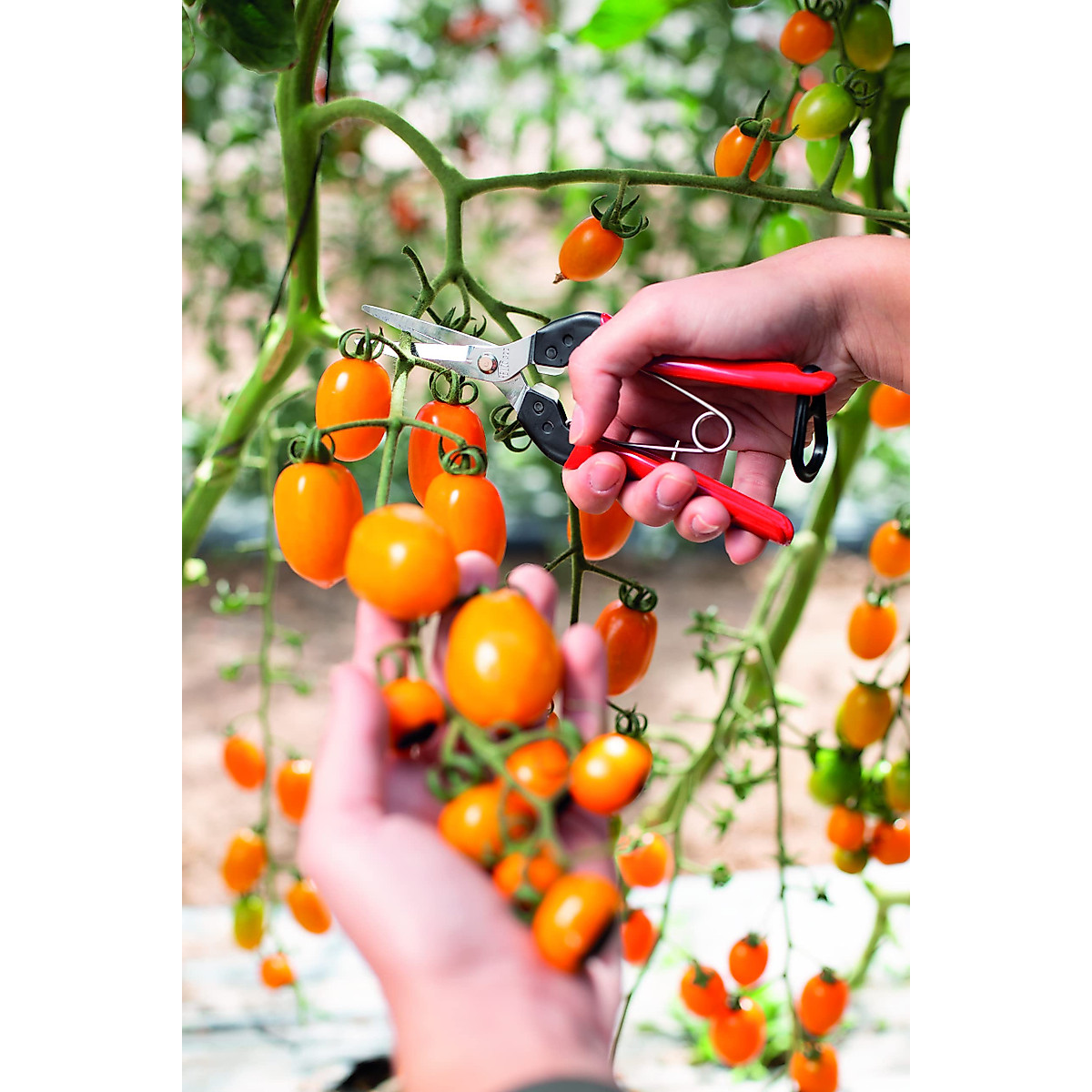 FELCO FELCO322 Model 322 Snips, Red