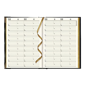 Brownline 2024 Executive Weekly Planner, Appointment Book, 12 Months, January to December, Sewn Binding, 10.75" x 7.75", Trilingual, Assorted Colors, 1 Count (CBE512.ASX-24)