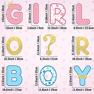 Chinco 10 Pieces Gender Reveal Party Decorations Supplies Baby Shower Plastic Yard Signs Outdoor Letters Lawn with Stakes for Indoor Garden (Boy or Girl)
