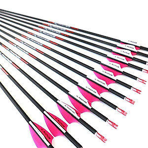 1000 Spine Arrow 30 Inch Arrow Target Practice Arrow Hunting Arrow Carbon Arrows Compound Bow Recurve Bow Adult Youth Archery Indoor Outdoor Shooting Bullet Tip 12pc Pink