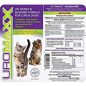 UroMAXX Urinary Tract, Kidney & Bladder Formula for Cats and Dogs, 6 oz Bottle. Premium Pack