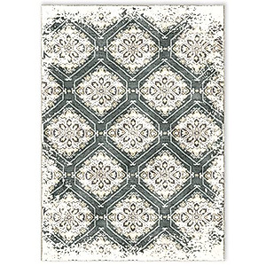 ODIKA 4 * 6 ft Cashmere Area Rug, Bohemian Style, Living Room, Bedroom, Distressed