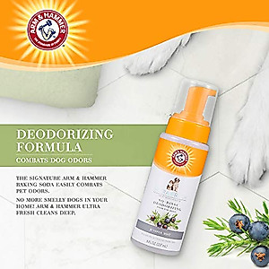 Arm & Hammer Ultra Fresh No Rinse Deodorizing Foam for Dogs, Juniper Mist, 8 Oz | Waterless Dog Shampoo | Baking Soda Neutralizes Bad Odors for an Advanced Clean