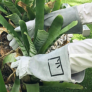 Rose Pruning Gloves Gauntlet Garden Gloves Leather Long Gardening Gloves for Women Rose Gloves Cut Proof Work Gloves White Garden Gloves for Rose Gardening Gloves Rose Bushes Ready to Plant Cowhide S