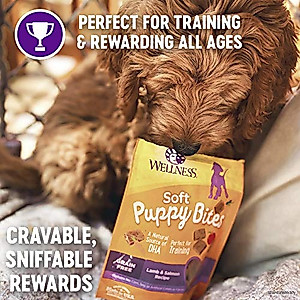 Wellness Soft Puppy Bites Natural Grain-Free Treats for Training, Dog Treats with Real Meat and DHA, No Artificial Flavors (Lamb & Salmon, 8-Ounce Bag)