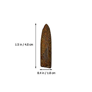 iplusmile 10pcs Paleontology Belemnite Fossil Specimen Science Ornament Laboratory Supply