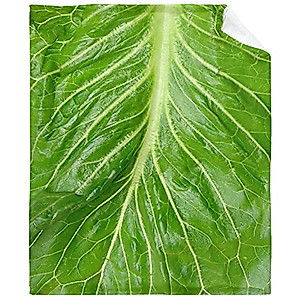 ARTBLANKET Lettuce Blanket for Fall Winter Spring All Season Warm Fuzzy 40x30 in for pet Microplush Lightweight Thermal Fleece Summer Autumn Blankets for Couch Bed Sofa