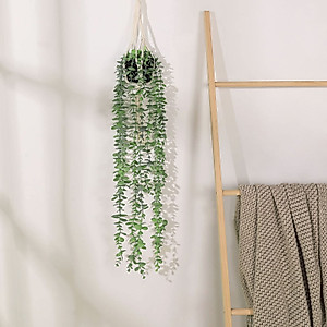 Asano Season Fake Plants Artificial Eucalyptus with Hanging Plant Hanger 2.6 FT Faux Greenery Vine Potted Plants in Black Pot and Cotton Rope for Boho Home Green House Garden Indoor Bedroom Décor