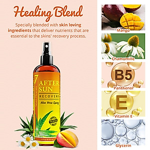 Seven Minerals NEW After Sun Solar Recovery Spray with Aloe Vera - For Skin & Face with Instant Sunburn Relief. Unlike Regular Aftersun Spray With Mango & Chamomile (12 Oz)