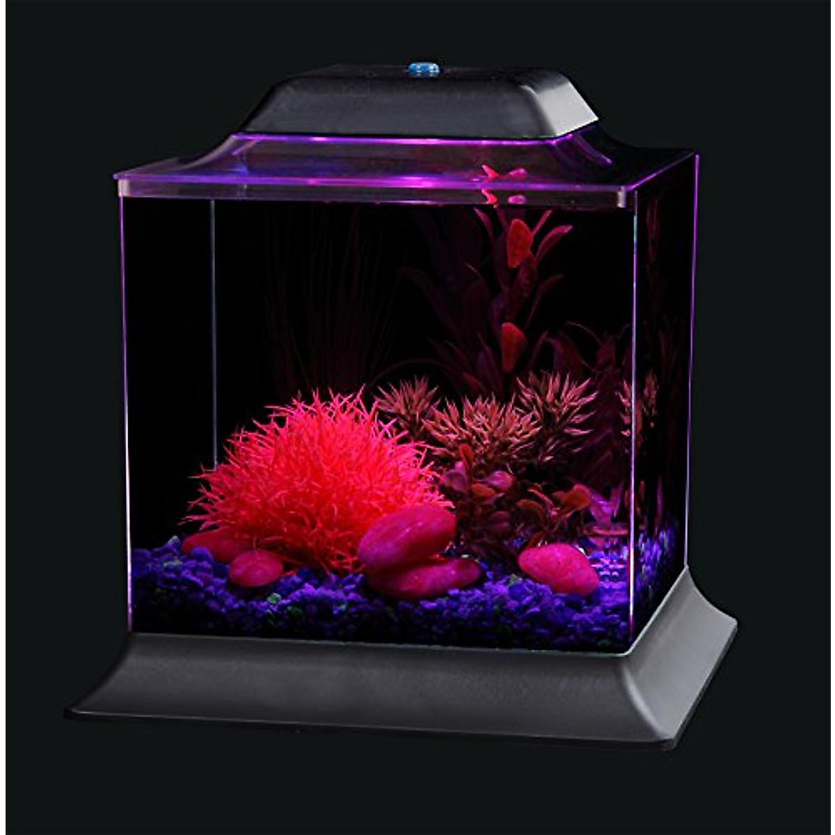 Koller Products 1.5-Gallon AquaScene Aquarium with LED Lighting