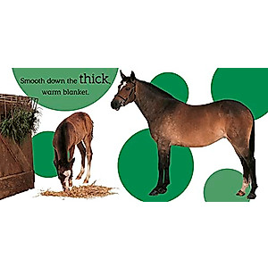 Touch and Feel: Ponies